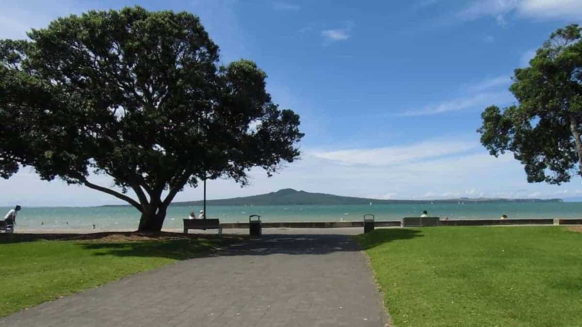 10 Things To Do in Auckland in Summer | Beaches & fun!