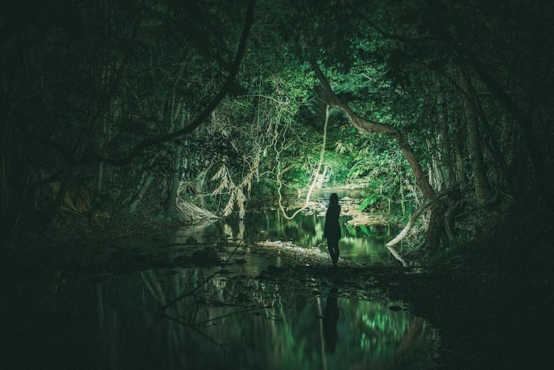 The Best Things to do in Cape Tribulation - Don't miss these!